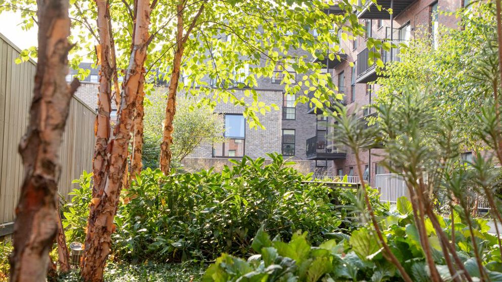 New BNG good practice guide launched: supporting sustainable housing ...